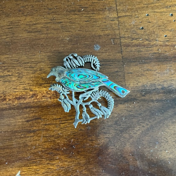 Jewelry | Tui Paua Shell Brooch | Poshmark